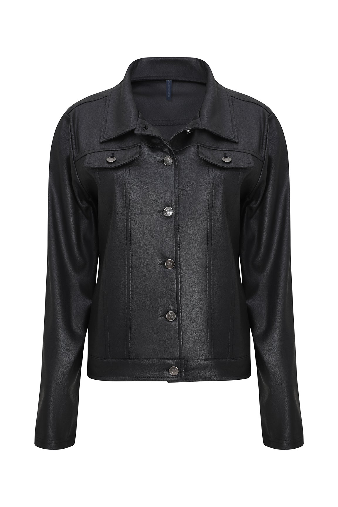 Women's Coats & Jackets - Shop All | Caroline Eve